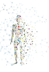 360 Meridians: The Highways and Byways of the Body – A Small Corner of ...